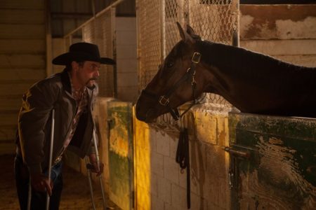 40 Beste Paardenfilms die alle Paardenliefhebbers Moeten Zien ...