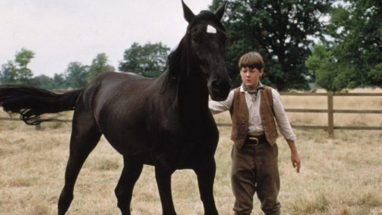 40 Beste Paardenfilms die alle Paardenliefhebbers Moeten Zien ...
