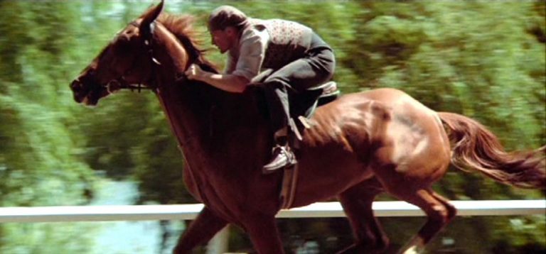 40 Beste Paardenfilms die alle Paardenliefhebbers Moeten Zien ...