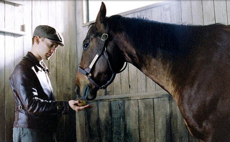 40 Beste Paardenfilms die alle Paardenliefhebbers Moeten Zien ...