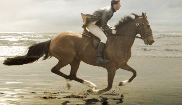 40 Beste Paardenfilms die alle Paardenliefhebbers Moeten Zien ...