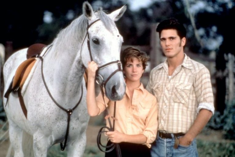 40 Beste Paardenfilms die alle Paardenliefhebbers Moeten Zien ...