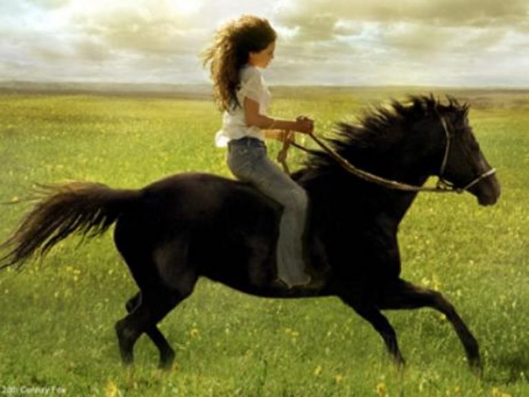 40 Beste Paardenfilms die alle Paardenliefhebbers Moeten Zien ...
